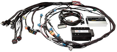 HALTECH Sport 2000 ¨C Toyota 2JZ Terminated Engine Harness Kit (M&W ...