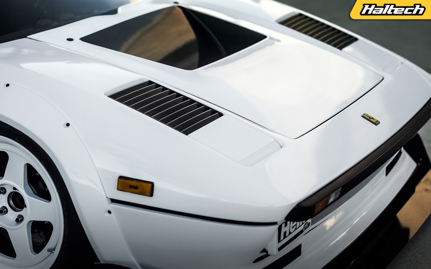 Mike and his K24 Ferrari 308 GTBi - Haltech