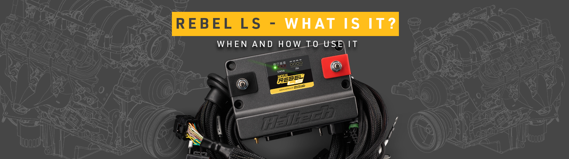 Nexus Rebel LS - Product Overview - Haltech