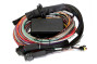 HT-151304 Elite 2500 + Premium Universal Wire-in Harness Kit - Haltech