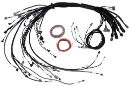 Gen III (LS1/LS6) - Haltech